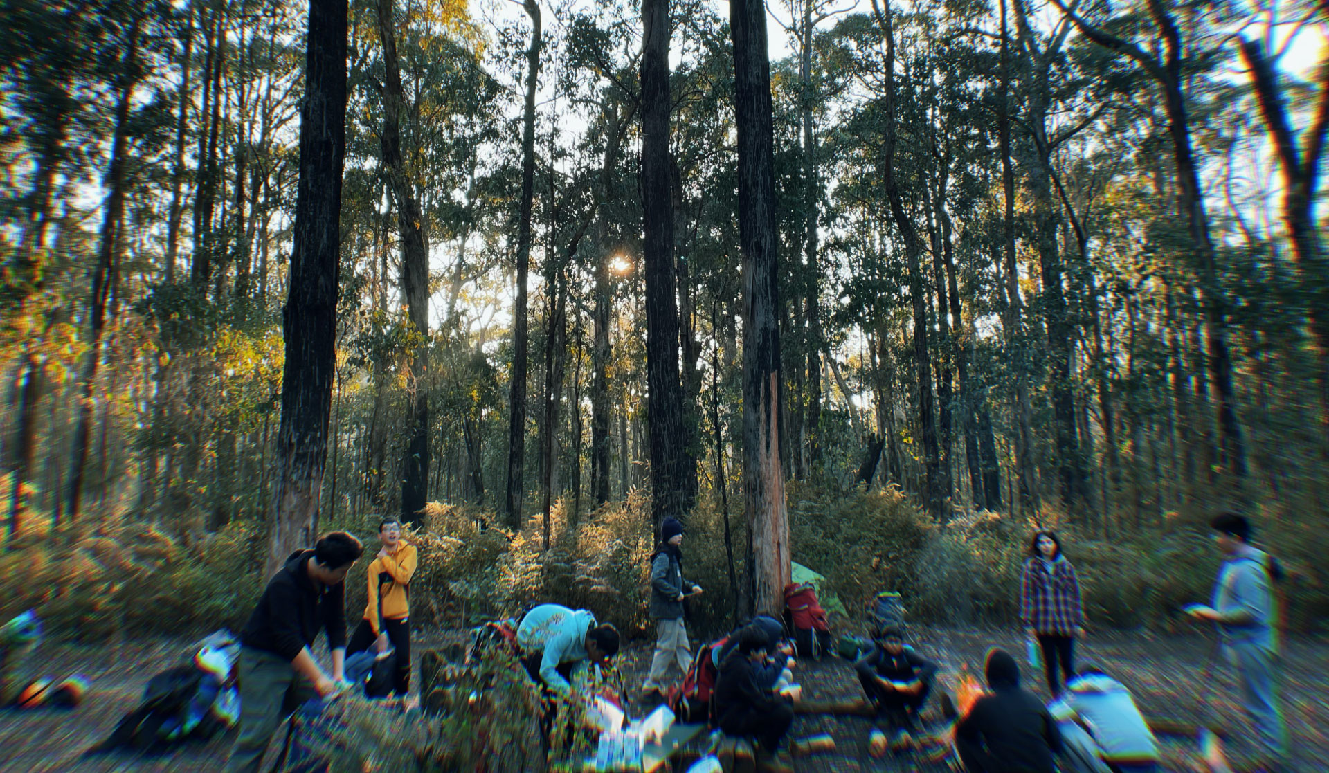 Camp Info | Kinglake Forest Adventures Camp